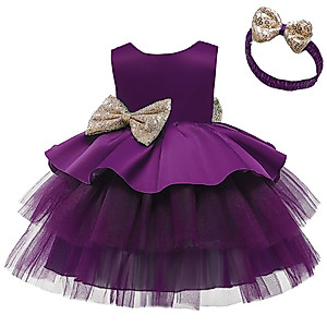Christening Lace Birthday Christmas Easter Special Occasion Flower Baby Girl Dress Princess Formal Prom Tutu Ball Gown 2T 3T Purple 100