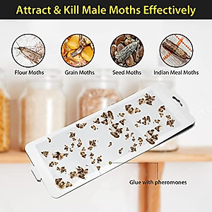 TRAP IT! Pantry Moth Traps, 10 Pack Sticky Glue Trap Indoor with Pheromones to Attract and Kill Grain Flour Seed Meal Moths, Non-Toxic Pantry Pest Killer for House Food and Cupboard Moth Control