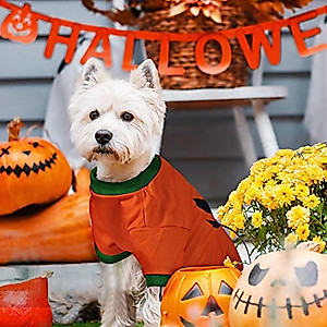 SGQCAR 4Pieces Dog Halloween Shirts Soft Cotton Ghost Skeletons Dog T-Shirt Funny Pet Pumpkin Head Costume for Small Dogs Puppy Cosplay Apparel (Pumpkin, Large)
