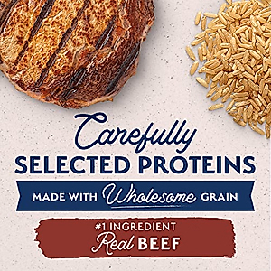 Natural Balance Limited Ingredient Adult Dry Dog Food with Healthy Grains, Beef & Brown Rice Recipe, 4 Pound (Pack of 1)