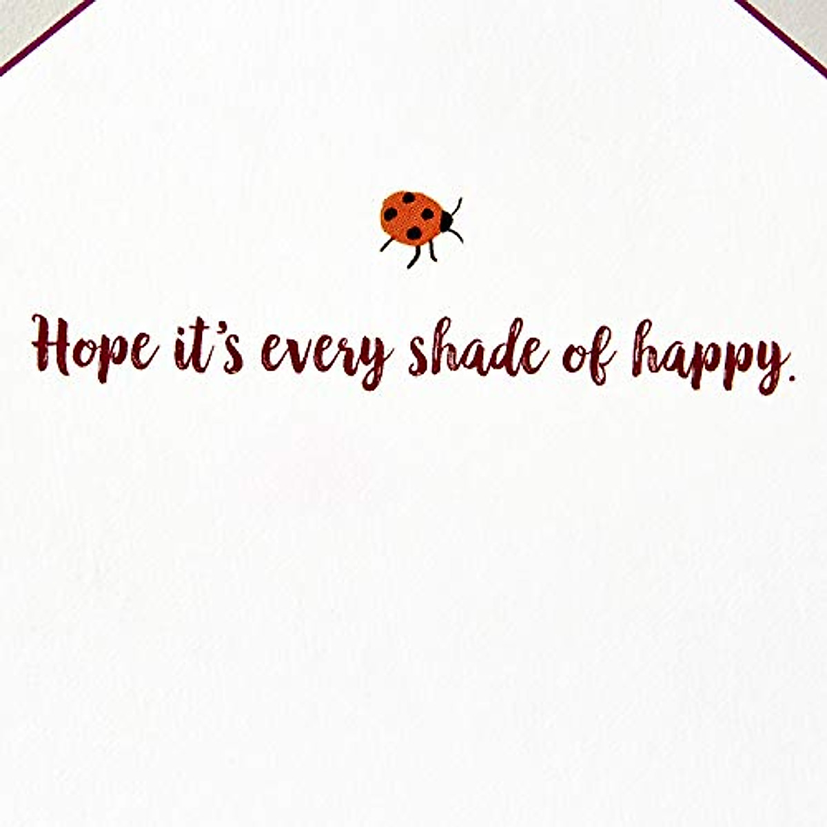 Hallmark Paper Wonder Displayable Pop Up Birthday Card or Mothers Day Card (Succulents),5 X 7. 2 inches,599RZW1015