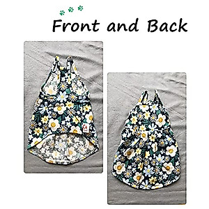 Hairless Cat Clothes - Breathable Summer Cotton Sundress with Sunflower Print Suspender Skirt Elegant Romantic Girly Vest Soft Princess Dress for Sphynx, Cornish Rex, Devon Rex, Peterbald (XS)
