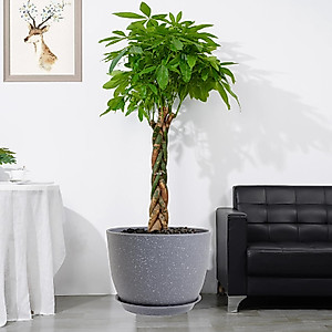 UOUZ 12inch Large Plant Pot, Modern Plastic Planter with High Driange Holes and Saucer for Indoor Outdoor Garden Plants and Flowers, Grey Speckles