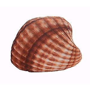 Cute Shell Shaped Throw Pillows Plush Cusion Nap Pillow