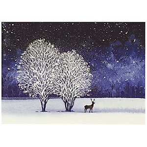 Starry Night Deluxe Boxed Holiday Cards (Christmas Cards, Greeting Cards)