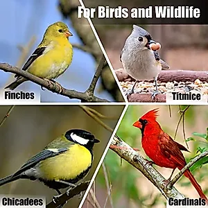 Old Potters Wildlife Striped Sunflower Seeds 3 lbs for Birds and Wildlife, Non-GMO & USA Grown, Attracts Birds (3 Pounds)