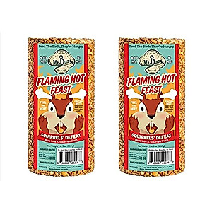2-Pack of Mr. Bird Flaming Hot Feast Small Cylinder 19 oz.