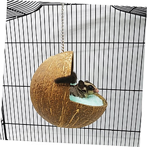 FUOYLOO Parrot Toys Parrot Hut House Shell Bird House Hamster Winter Warm Cage Bird Playground Winter Pet Chinchilla Bed Wood Toys Hanging Parrot House Coconut Shell Natural Bird Supplies