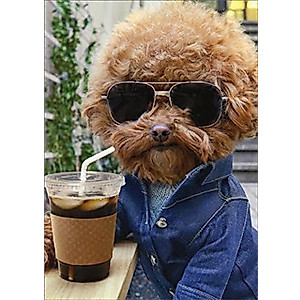 Cool Dog with Coffee Avanti Humorous/Funny Birthday Card