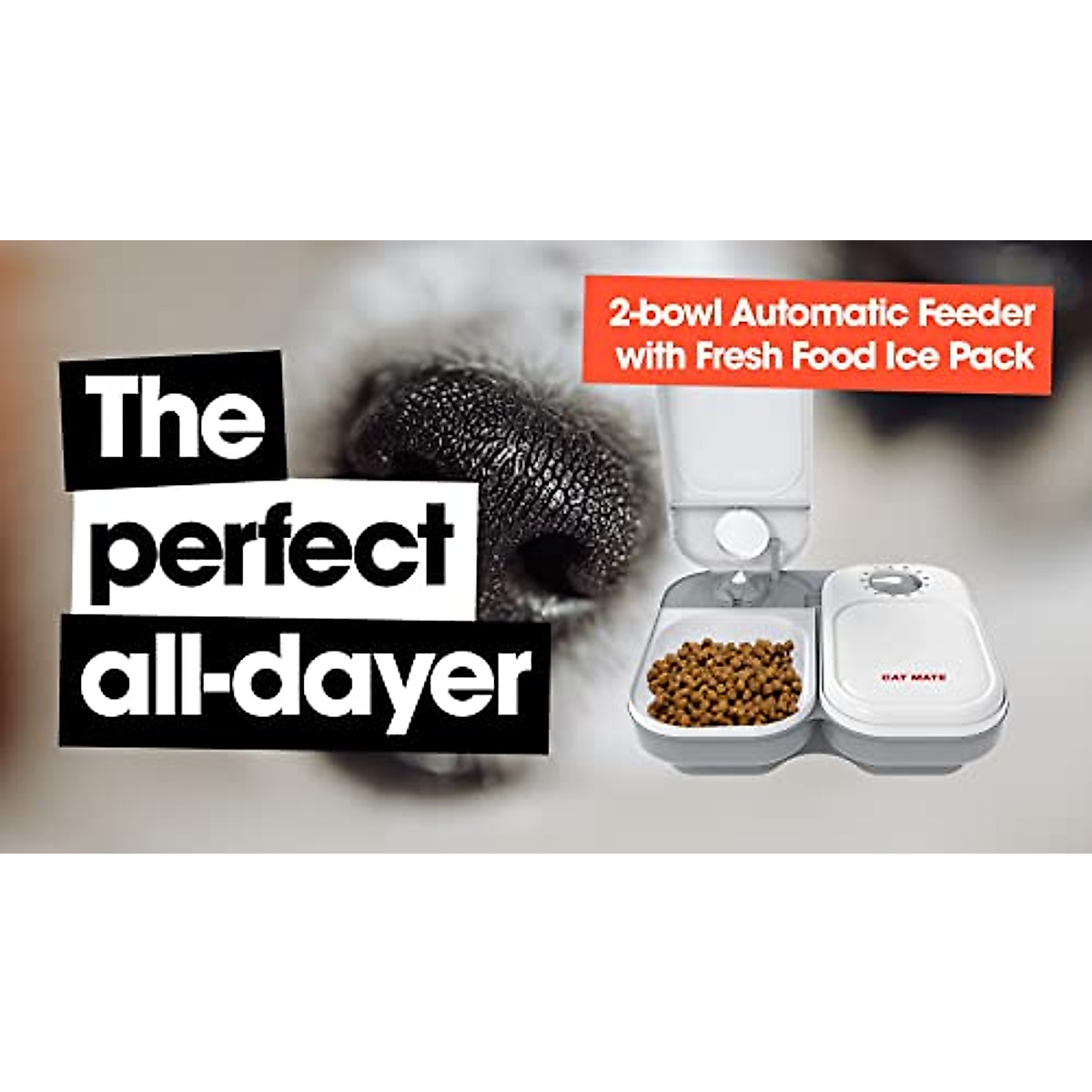 Cat Mate C200 2 Meal Automatic Pet Feeder for Cats and Small Dogs with Ice Pack