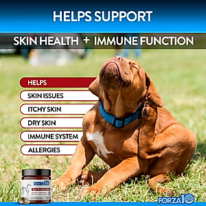 Forza10 Dog Skin and Coat Supplement with Omega 3 Fish Oil Dogs, Provides Dog Allergy Relief, Salmon Flavor Dog Vitamins & Supplements for Itchy Skin Relief, Dog Allergy Chews with Probiotics, 90 Ct.