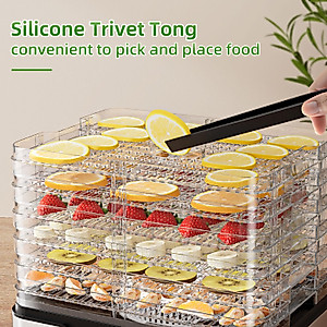 Food Dehydrator Machine Dryer for Jerky: Stainless Steel Dehydrater for Fruit Herb - Digital Food Drier for Meat Beef Dehydration