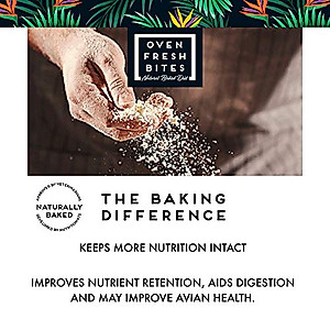 Oven Fresh Bites Baked Birdie Munchies Carrot Cake Treats, 4 oz.