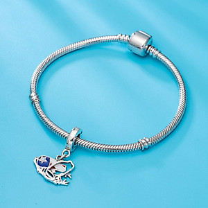 CHESIRT Puerto Rico Map Flag Charm, Frog Pendant Charm,Animal Enamel Charm 925 Sterling Silver Fit European Bracelet&Necklace