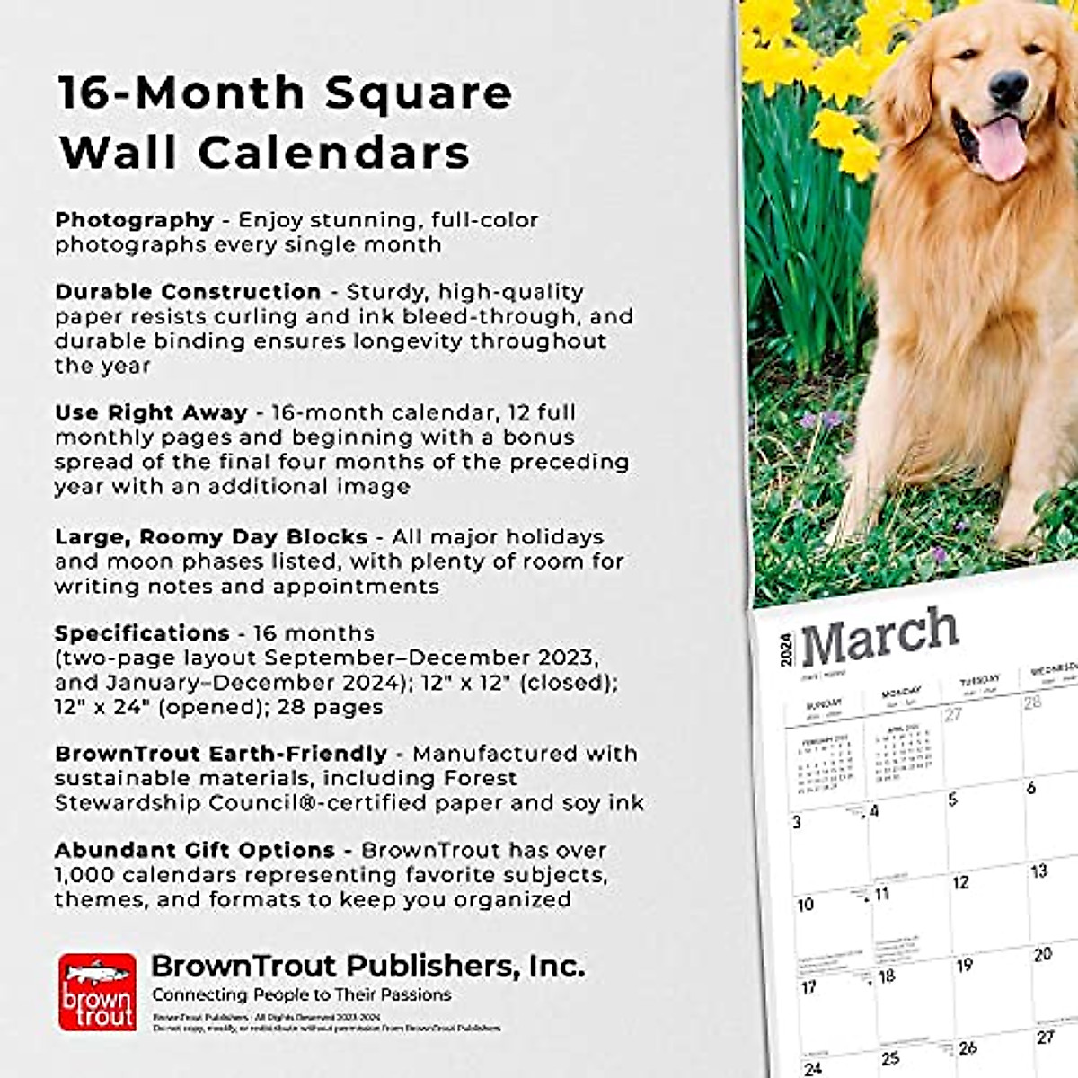 Golden Retrievers | 2024 12 x 24 Inch Monthly Square Wall Calendar | Foil Stamped Cover | BrownTrout | Animals Dog Breeds Retriever