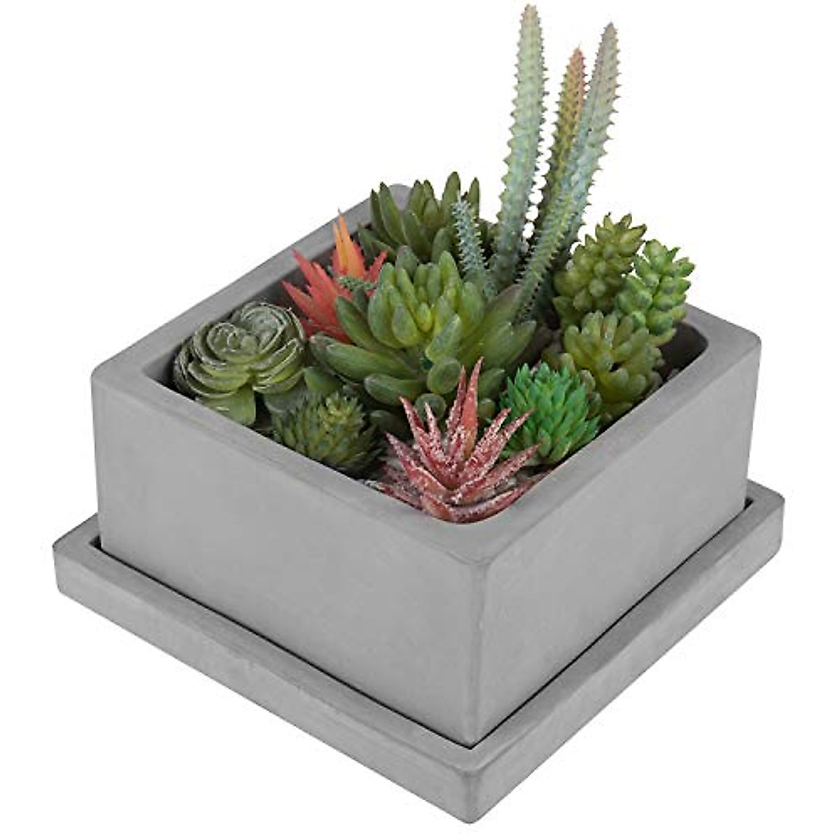 MyGift Modern Gray Concrete Square Planter - Succulent Plant Pot with Bottom Drainage Hole and Removable Drip Tray Saucer