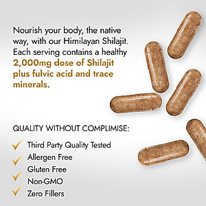 (2 Bottles) Shilajit Supplement for Men & Women | Shilajit Pure Himalayan Organic (2,000 mg) Natural Shilajit Capsules | Fulvic Acid Supplement | Rich with Trace Minerals | 120 Count.