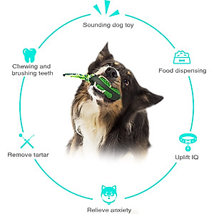 KAMHX Dog Teeth Clean Chewing Durable Football, for Small and Medium-Sized Dogs Missing Food, Human Dog Interaction, with Squeaky Durable Chewing Toys (Dark Green)