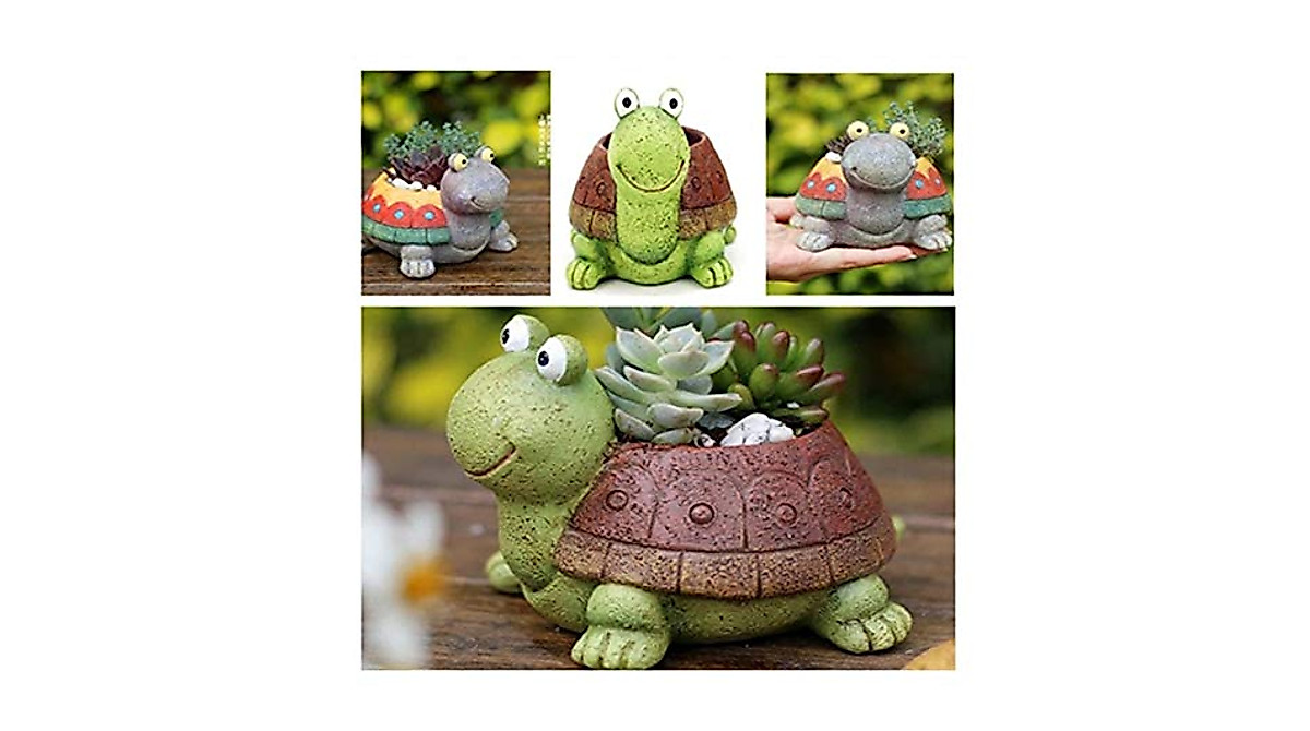 Cute Turtle Plant Pot for Succulents & Bonsai | Youfui