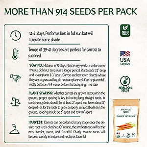 Imperator Carrot Seeds for Planting - 914+ Heirloom, Non-GMO Seeds - 100% USA Grown - Easy to Grow Long Tapered Carrots with Sweet Flavor - Suitable for Indoors and Outdoors Home Vegetable Garden