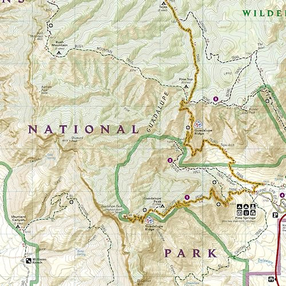 Guadalupe Mountains National Park Map (National Geographic Trails Illustrated Map, 203)