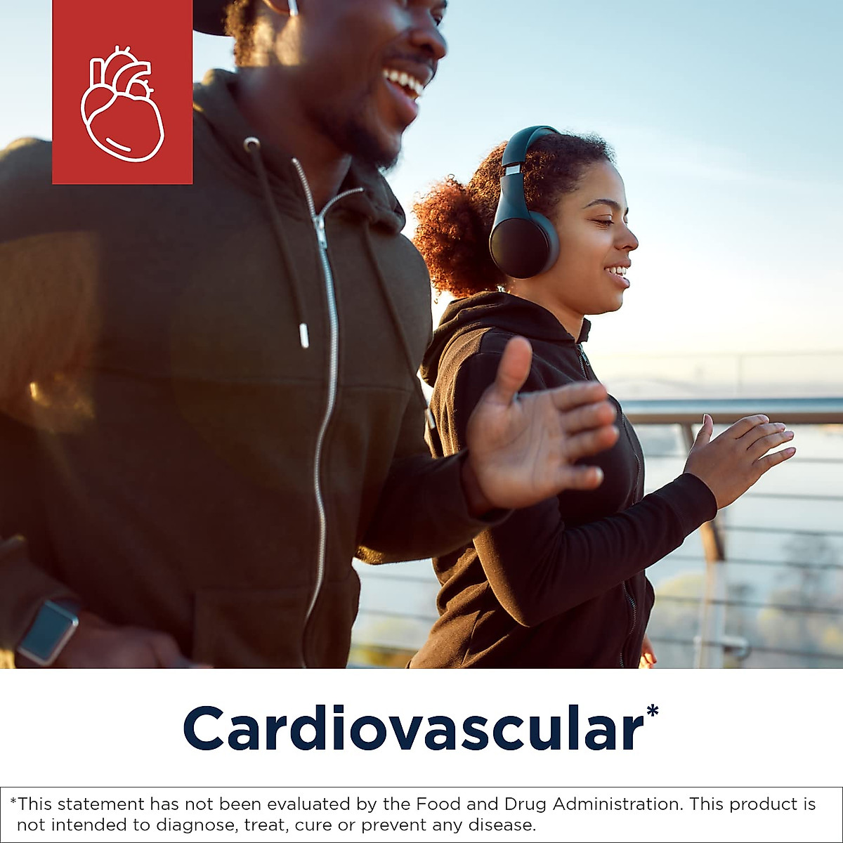 Designs for Health Carnitine Synergy - 400mg L-Carnitine (from Carnitine Tartrate) + 100mg Acetyl L-Carnitine Pills - Non-GMO + Vegetarian Supplement (120 Capsules)