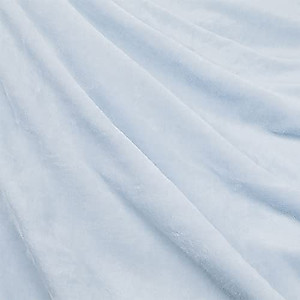 PAVILIA Plush Sherpa Fleece Throw Blanket Light Blue | Soft, Warm, Fuzzy Baby Blue Throw for Couch Sofa | Solid Reversible Cozy Microfiber Fluffy Blanket, 50x60