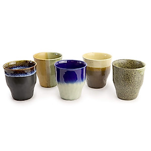 Hinomaru Collection Authentic Japanese Minoyaki Porcelain Tea Cups Set of 5 Traditional Earthenware Glazed Decorative Sushi Teacups Made in Japan