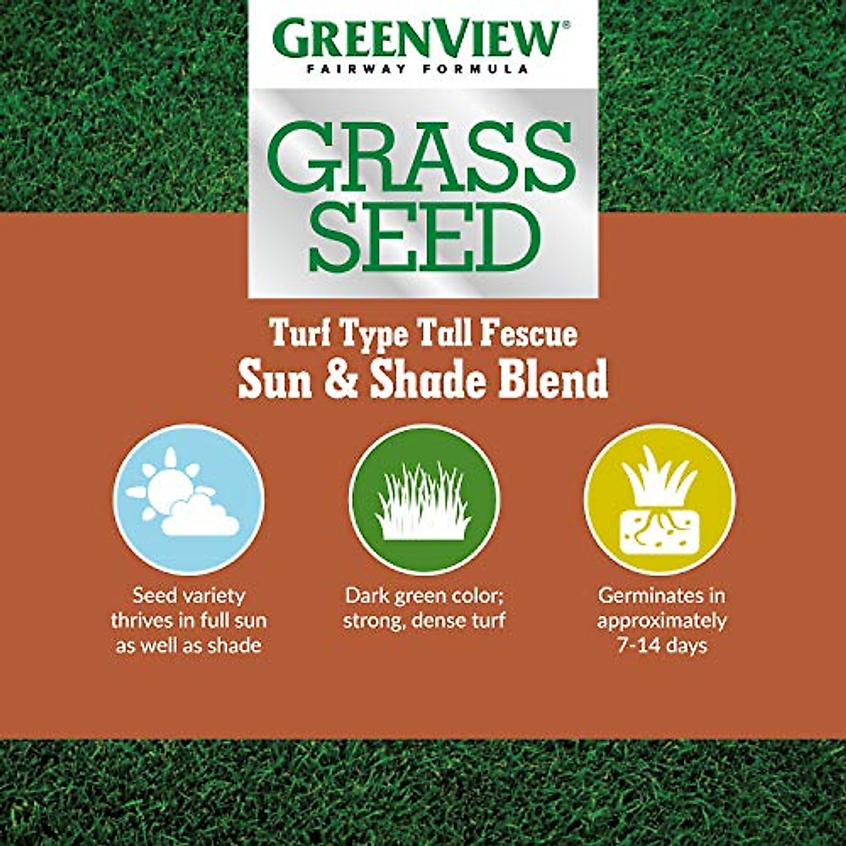 GreenView Fairway Formula Grass Seed Turf Type Tall Fescue Sun & Shade Blend - 20 lbs.
