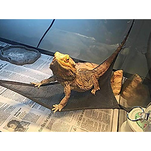 Yamadura Reptile Hammock Lounger & Ladder Accessories Set for Large & Small Bearded Dragons Anole Geckos Lizards or Snakes (Triangle, 19×13×13 inch, 2 Pack)