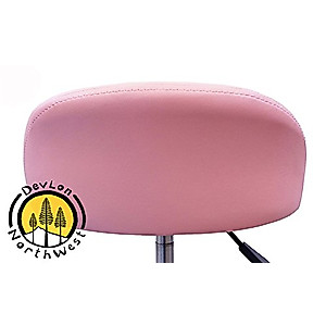 DevLon NorthWest Salon Stool with Back Rest Saddle Hydraulic Spa Stool (LIGHT PINK)