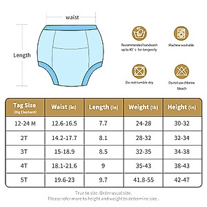 BIG ELEPHANT Baby Girls Training Underpants Toddler Training Pants 3 Pack, 2T