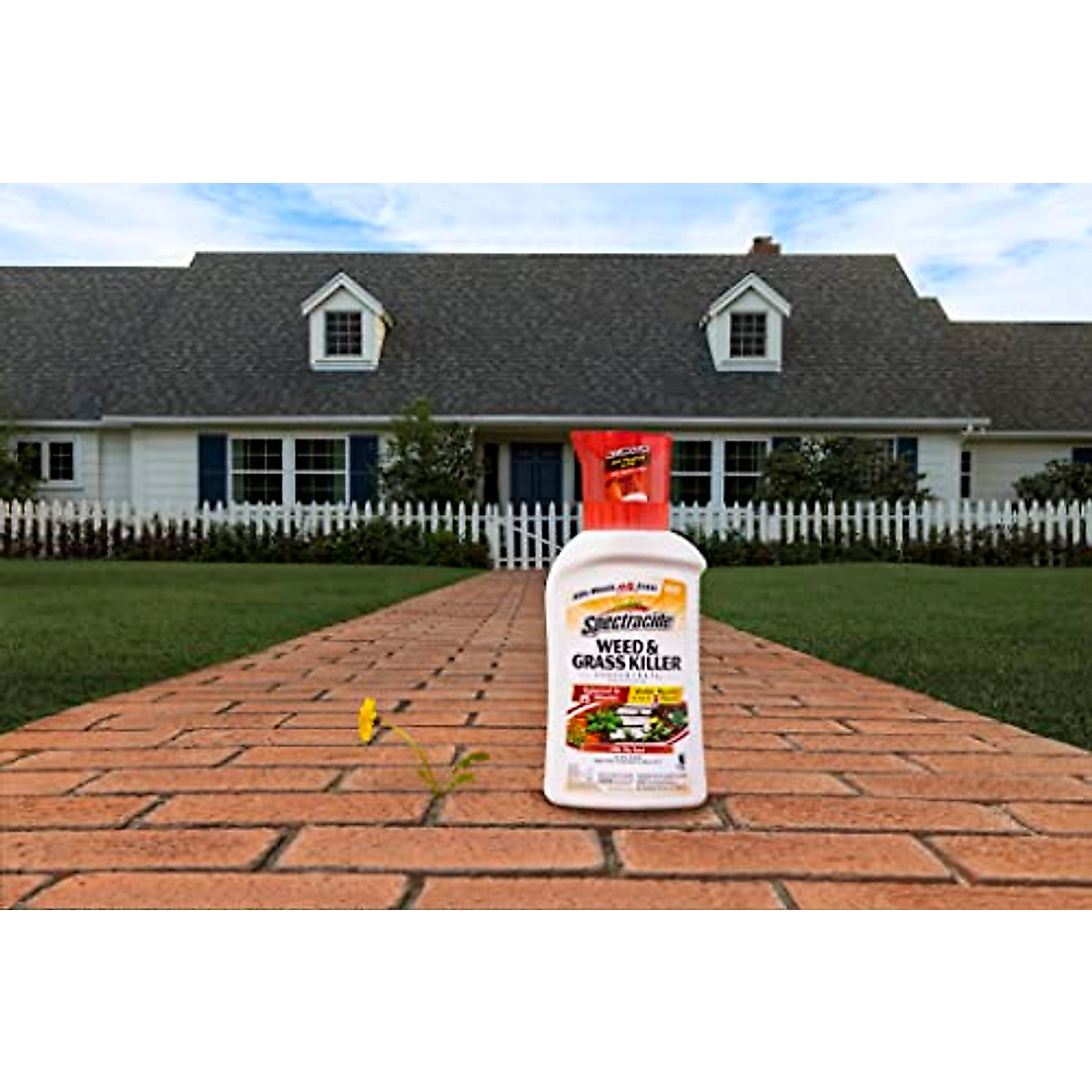 Spectracide Weed and Grass Killer Concentrate, 32 Ounces, With Accumeasure System