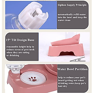 Pet Food Bowl and Water Bottle Set, Double Cat Dog Food Bowl with Automatic Gravity Water Dispenser Bottle, Detachable Tilted Raised Food Bowl for Small Medium Size Puppy Pet Dogs Cats (Pink)