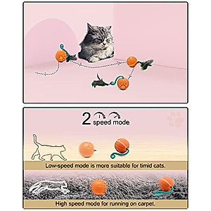 RRETECK Automatic Moving Cat Toys, Cute Interactive Cat Toys for Indoor, Cats Ball Bundle + Feather Kitten Toys in Pack. Smart Electric Teaser Cat Feather Toys, USB Rechargeable, 3 Feathers
