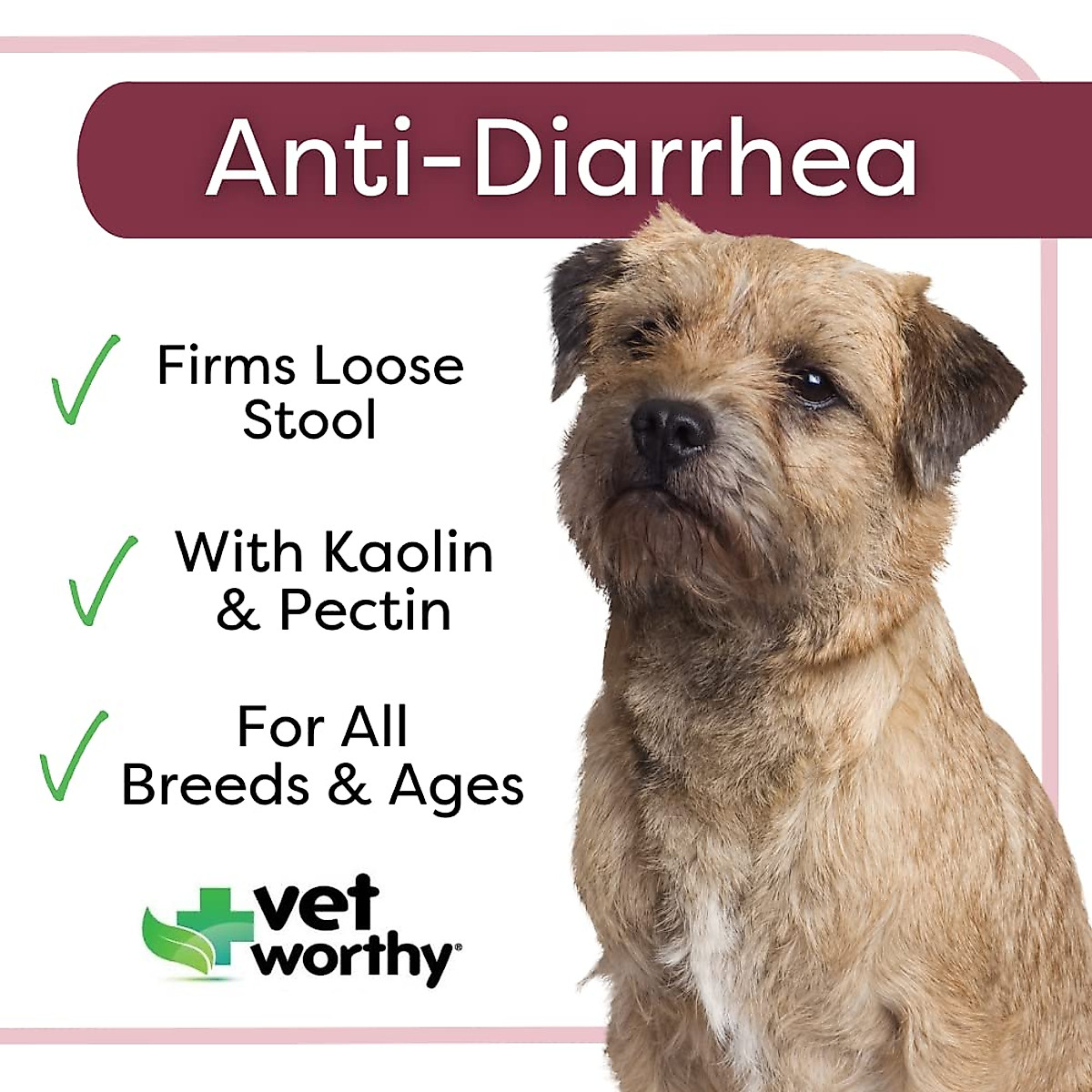 Vet Worthy Anti-Diarrhea for Dogs - Dog Supplement to Help Relieve Diarrhea, Stomach Upset, and Discomfort - 8oz