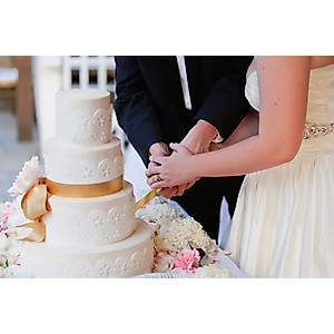 WAFJAMF Cake Knife and Server - Elegant Wedding Cake Knife Set, Stainless Steel Blade and Acrylic Faux Crystal Handle for Wedding Birthdays Anniversary Thanksgiving Christmas