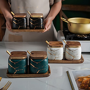 JFFLYIT 2 Sets of Marble Ceramic Sugar Bowl Ceramic Seasoning Jars with Wooden Lid and Wooden Spoon(Black)