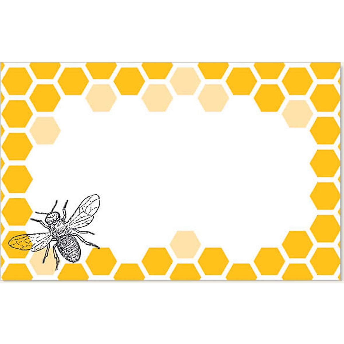 Gift Bags with Match Tissue Paper Tags and Raffia Ribbon - 3 Total Assorted Sizes (BEE)