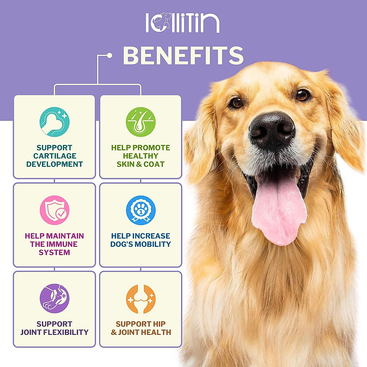 Dog Hip and Joint Supplement - Made in USA Dog Joint Supplement for Mobility Issues - Relief with Glucosamine for Dogs, MSM - 120 Count, Bacon Flavor - All Natural Dog Joint and Hip Supplement