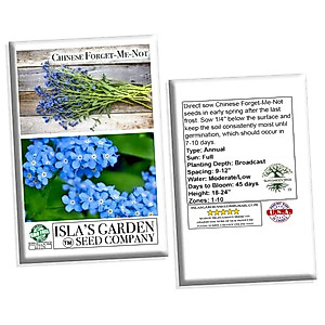 Chinese Forget-Me-Not Flower Seeds, 300+ Heirloom FlowerSeeds Per Packet, (Isla's Garden Seeds), Non GMO & Heirloom Seeds, Scientific Name: Cynoglossum Amabile