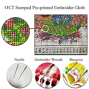 Cross Stitch Kits Stamped, OWN4B Easter Egg Chicken Printed Pattern 11CT 9.8x8.3 inch DIY Embroidery Kit (Chicken)