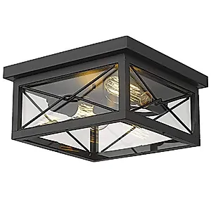 Emliviar 12 Inch Ceiling Light Fixture, 2-Light Flush Mount Ceiling Light in Black Finish, 0387B-CL BK