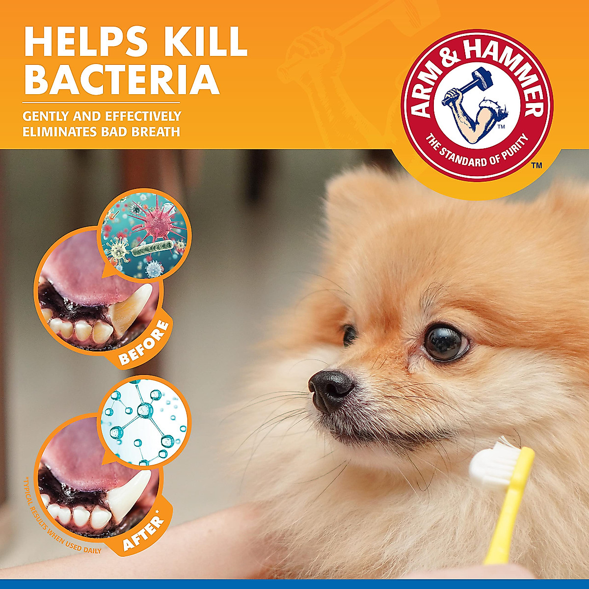 Arm & Hammer for Pets Combo Pack Dog Dental Tartar Control Water Additive and Fresh Breath Vanilla Ginger Enzymatic Toothpaste | Includes 16 Oz Dog Water Additive and 2.5 oz Dog Toothpaste