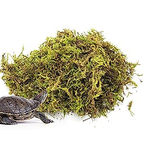 Hamiledyi Reptile Forest Moss,Premium Sphagnum Moss Reptile Terrarium Substrate Moss Bedding for Bearded Dragon Lizard Chamelon Gecko Iguana Snake Tarantula(100g/3.5 Oz)