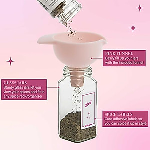 Paris Hilton Glass Spice Jar Storage Set, 4-Ounce Empty Spice Jars with Labels, Shaker Caps and Metal Lids, Collapsible Funnel Included, 20-Piece, Pink