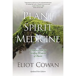 Plant Spirit Medicine