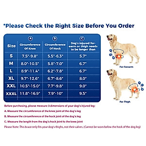 Huimpet Dog Hip Knee Leg Brace Dog ACL Brace for Front Torn and Back Hind Rear Legs ACL Tear, Dog Leg Brace for Hip Dysplasia, Dog Arthritis, Luxating Patella, Comfortable and Adjustable (M-Size)