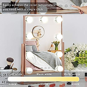FENCHILIN Hollywood Mirror with Light Large Lighted Makeup Mirror Vanity Makeup Mirror Smart Touch Control 3Colors Dimable Light Detachable 10X Magnification 360°Rotation (Rose Gold)