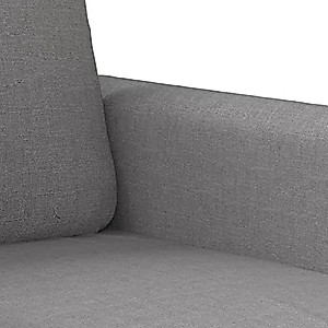 WHOPBXGAD Sofa Chair,Living Room Sofas, upholstered Sofas for Living Rooms, bedrooms, Offices and Apartments,Light Gray 23.6" Fabric